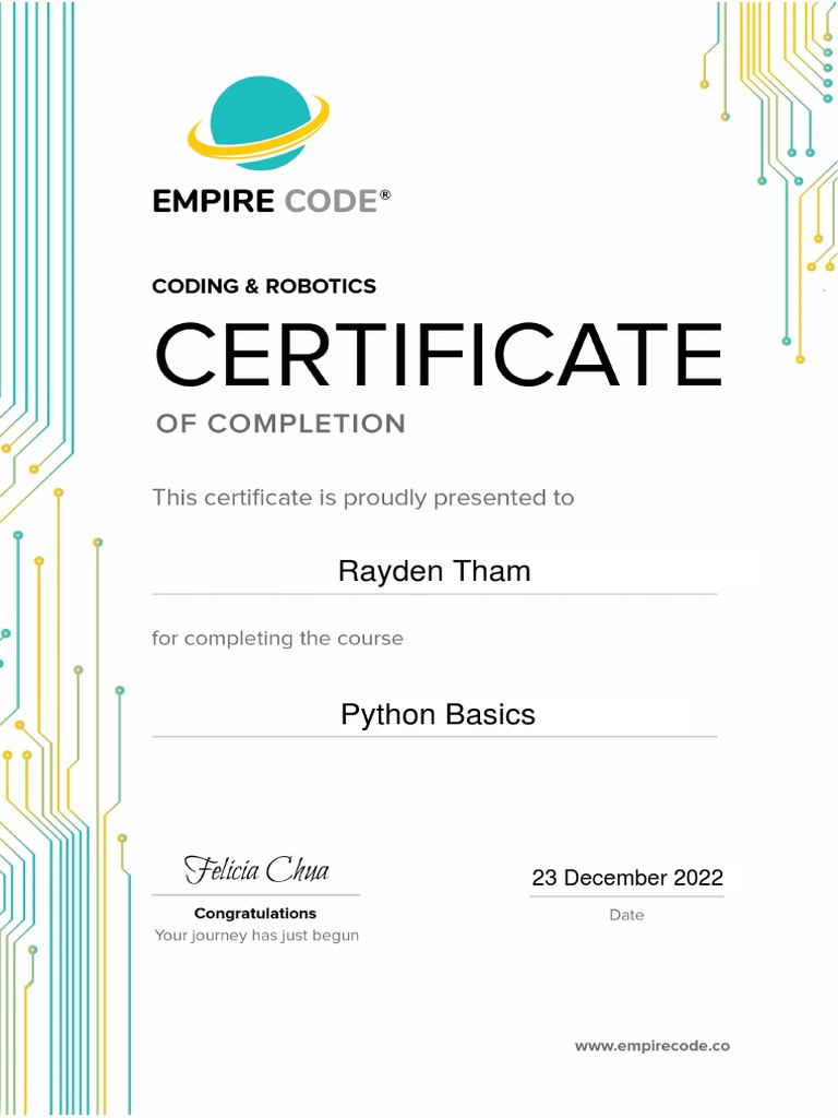 Rayden Tham Certificate Python Basics | PDF