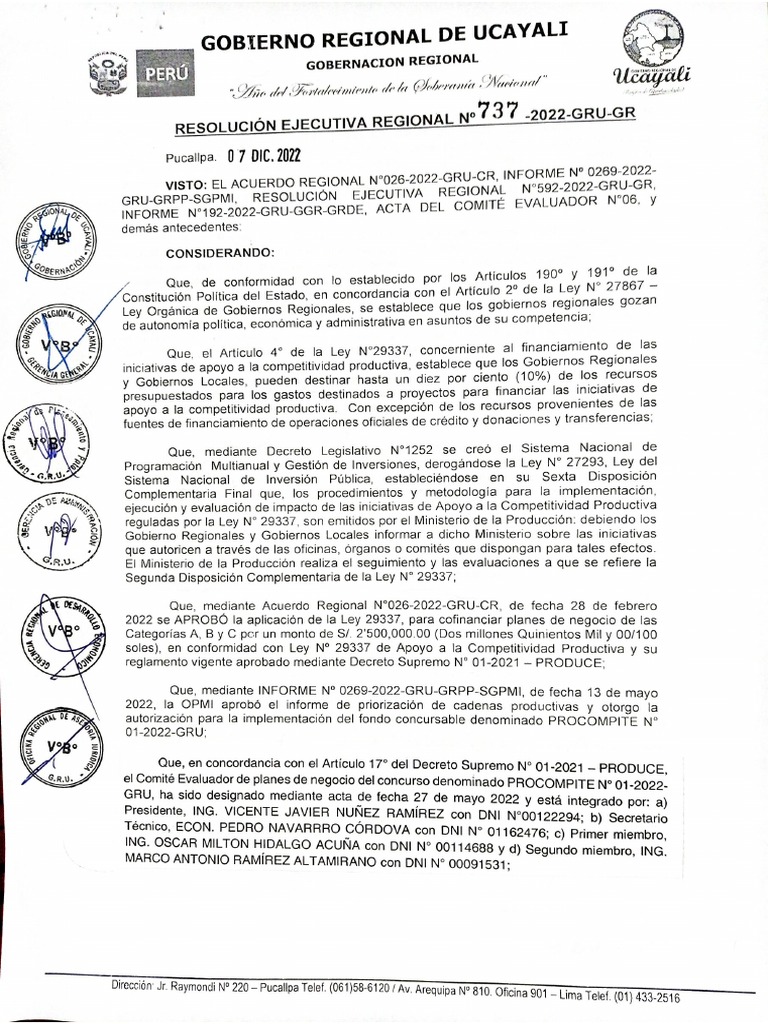 RER N°737-2022-GRU-GR Procompite Con #002-2022-GRU | PDF