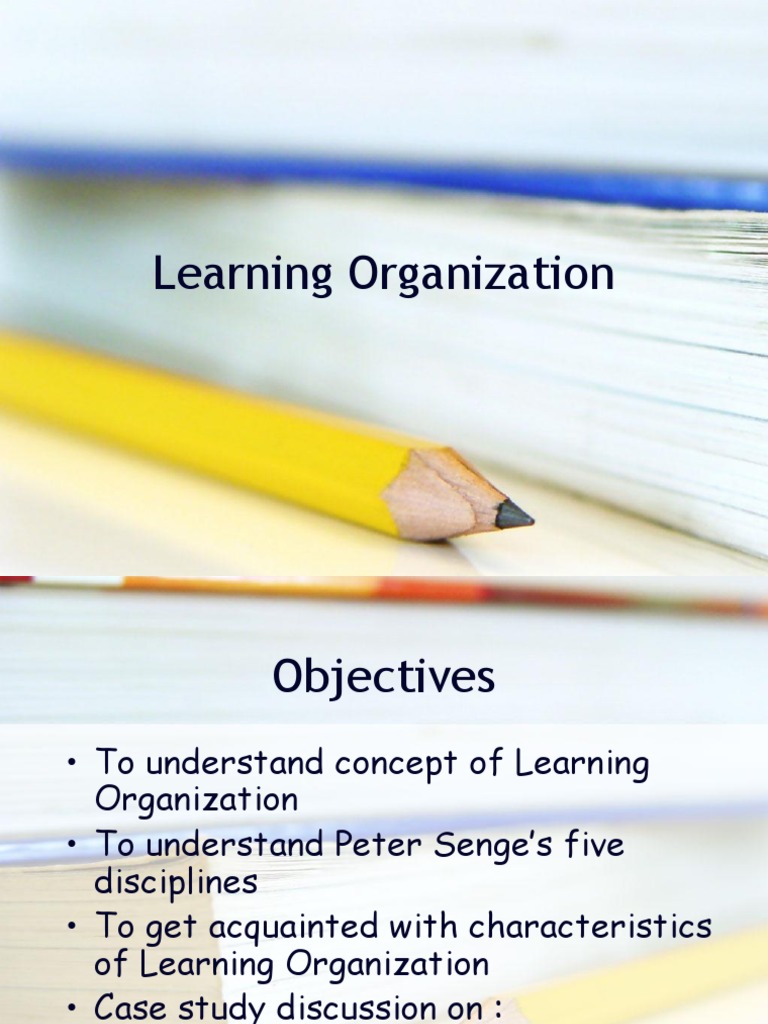 Learning Organization | PDF