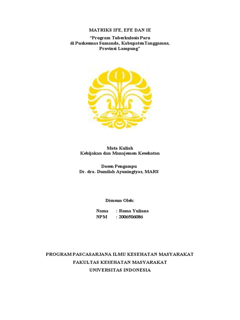 Matriks IFE, EFE, IE - Roma Yuliana - 2006506086 | PDF