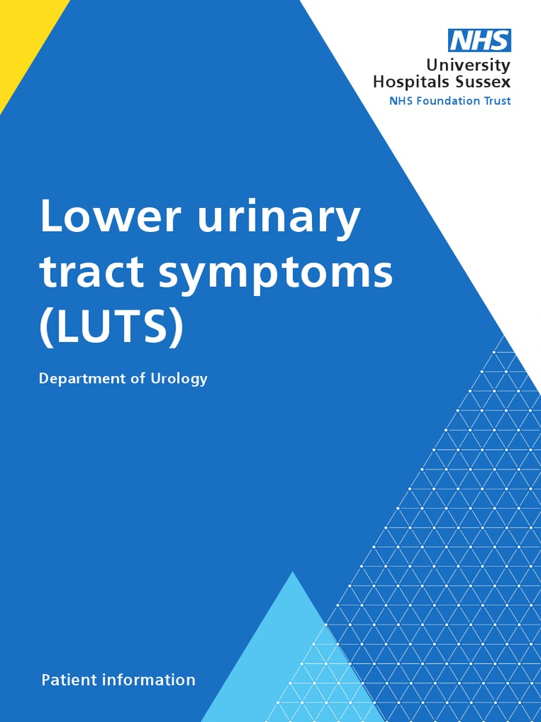 LUTS Leaflet | PDF