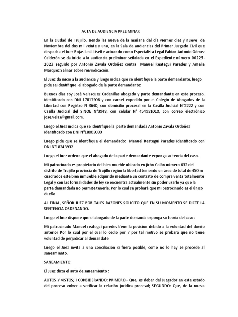 Acta de Audiencia Preliminar | PDF