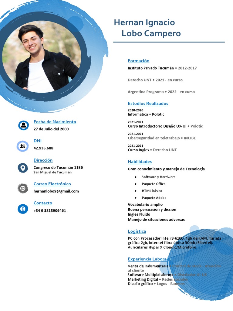 Hernán Lobo - CV Viejo | PDF | Arte | Tecnología e ingeniería