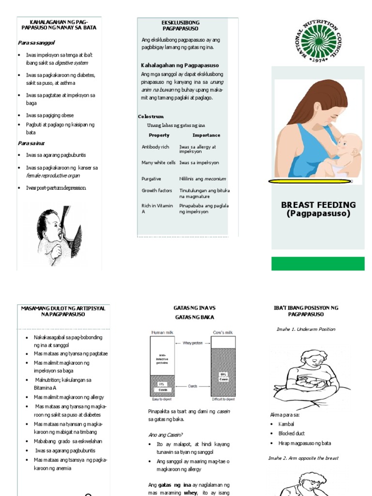 Breastfeeding Flier | PDF