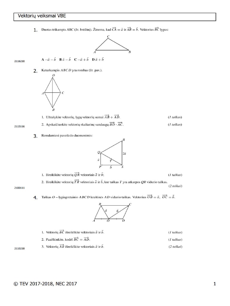 Veiksmai Su Vektoriais VBE Uzduotis | PDF