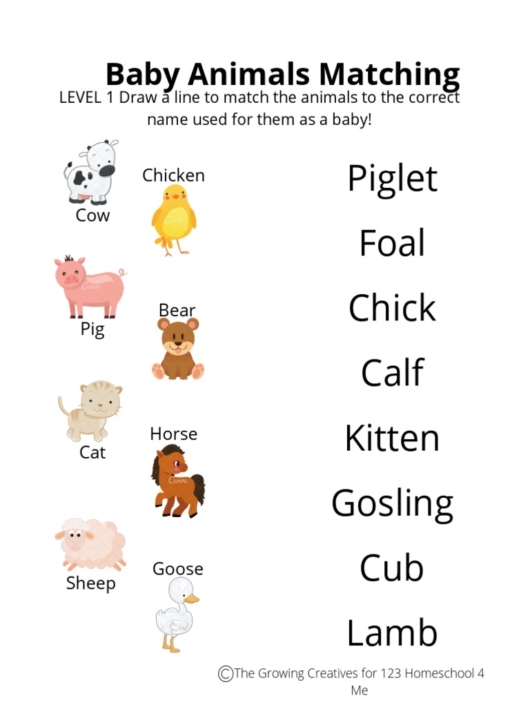 Baby Animals Worksheets | PDF