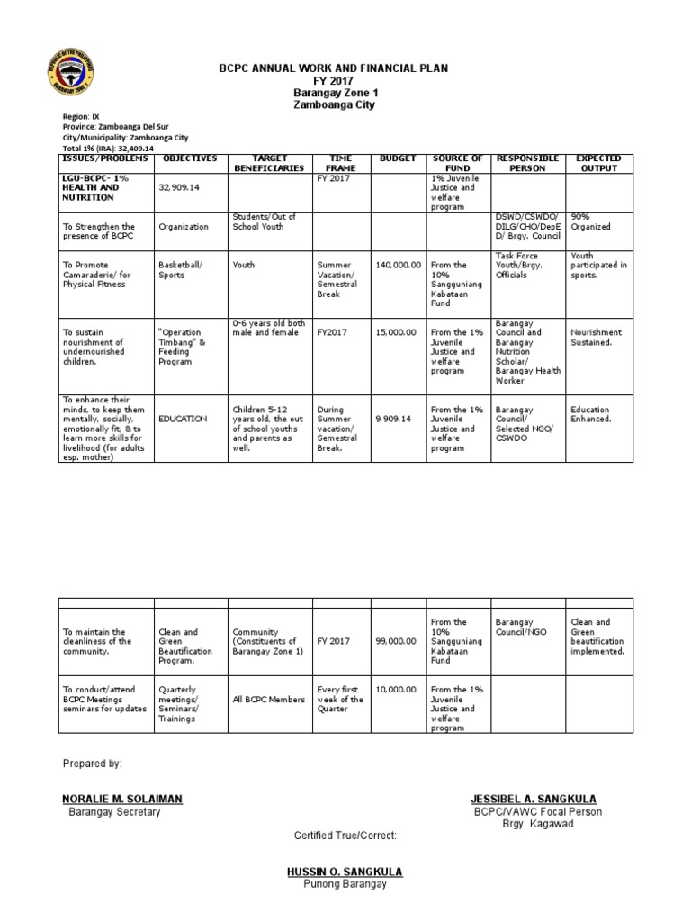 BCPC Work Financial Plan 2017 | PDF