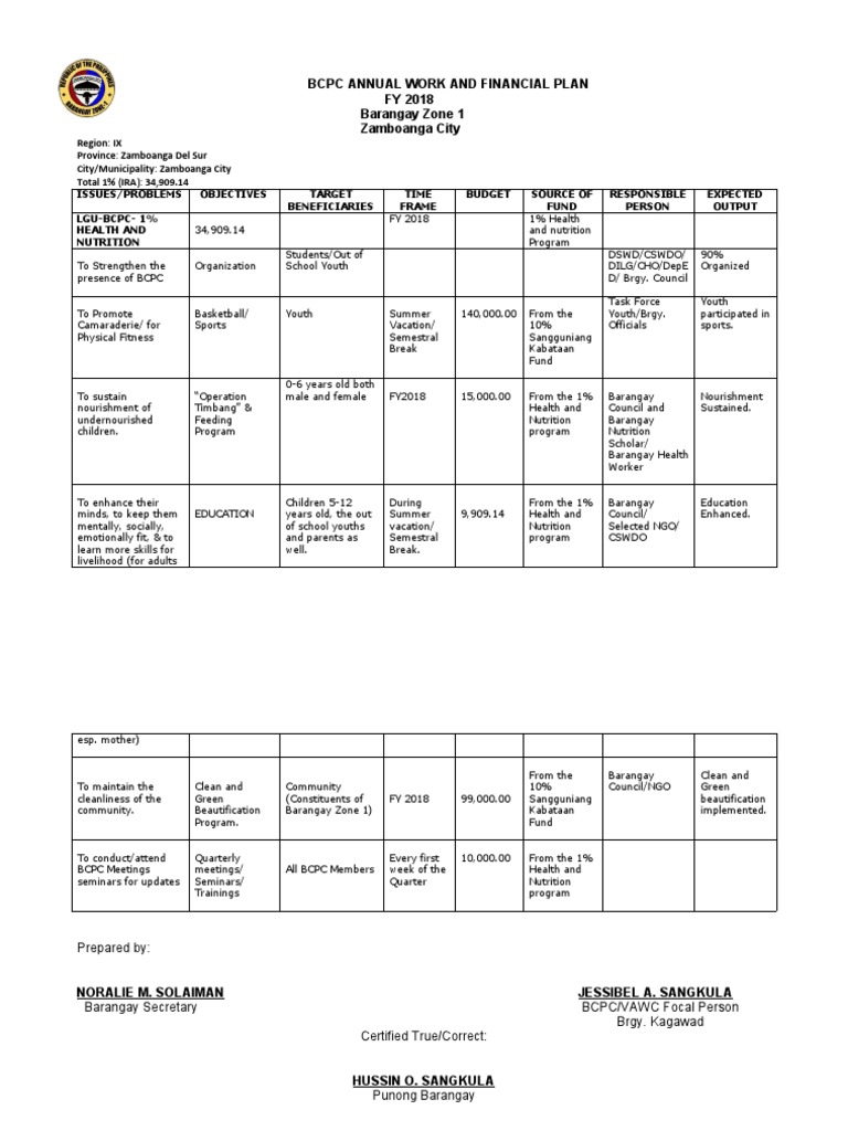 bcpc work financial plan | PDF