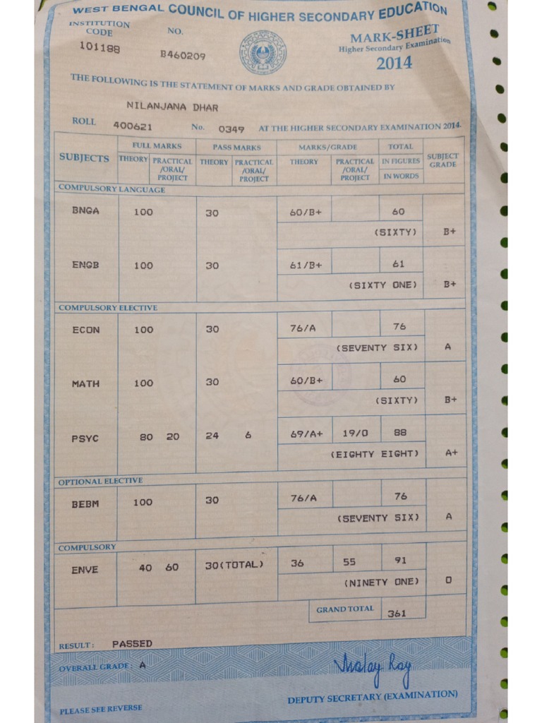 HS Marks Sheet | PDF