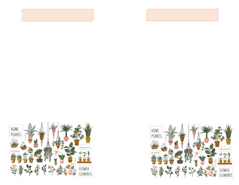 Informașii Despre Flori | PDF