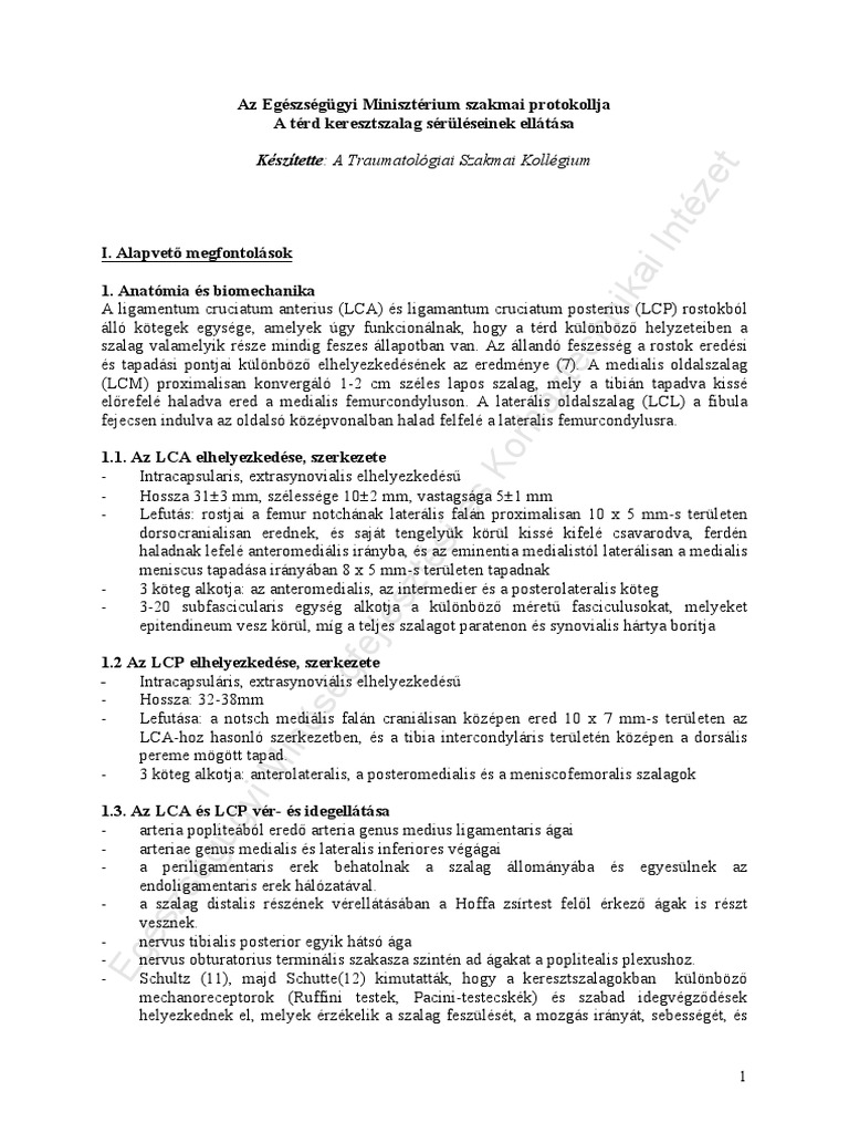 A Térd Keresztszalag Sérüléseinek Ellátása | PDF