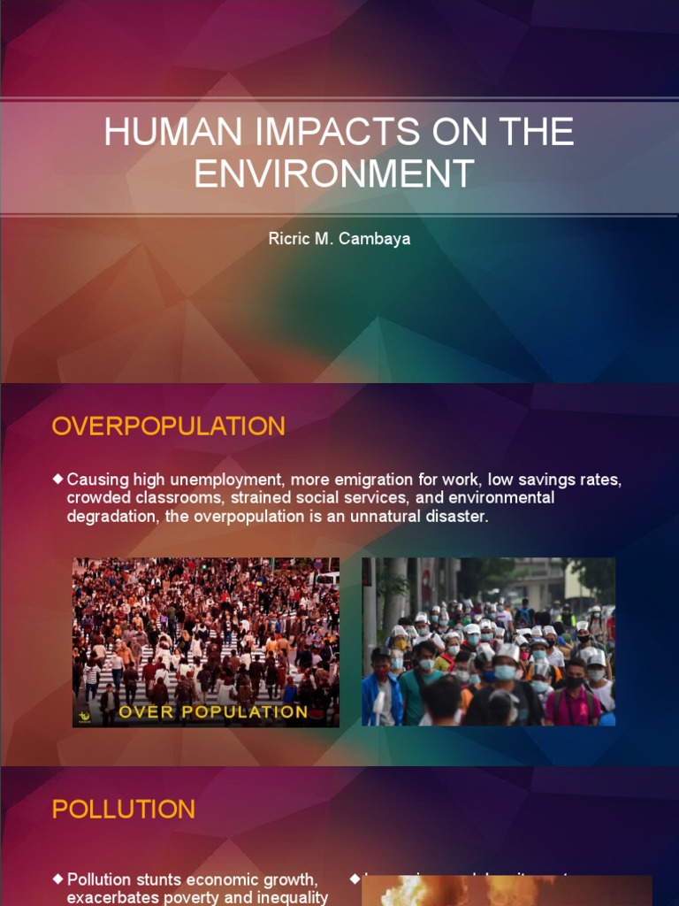 Human Impacts O-Wps Office | PDF | Human Impact On The Environment | Deforestation