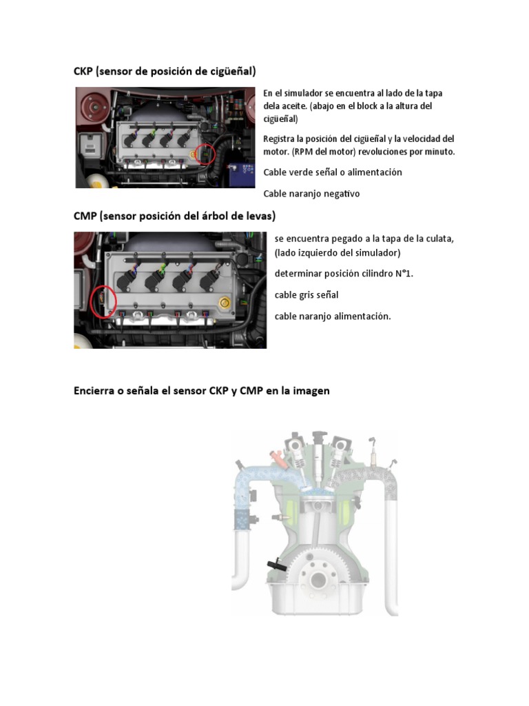 Resumen CMP y CKP | PDF | Cantidades fisicas | Ciencias fisicas
