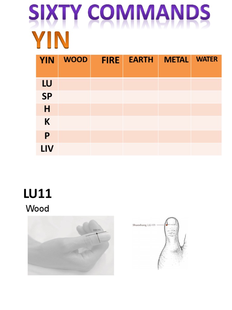 Yin and Yang Elements Chart | PDF