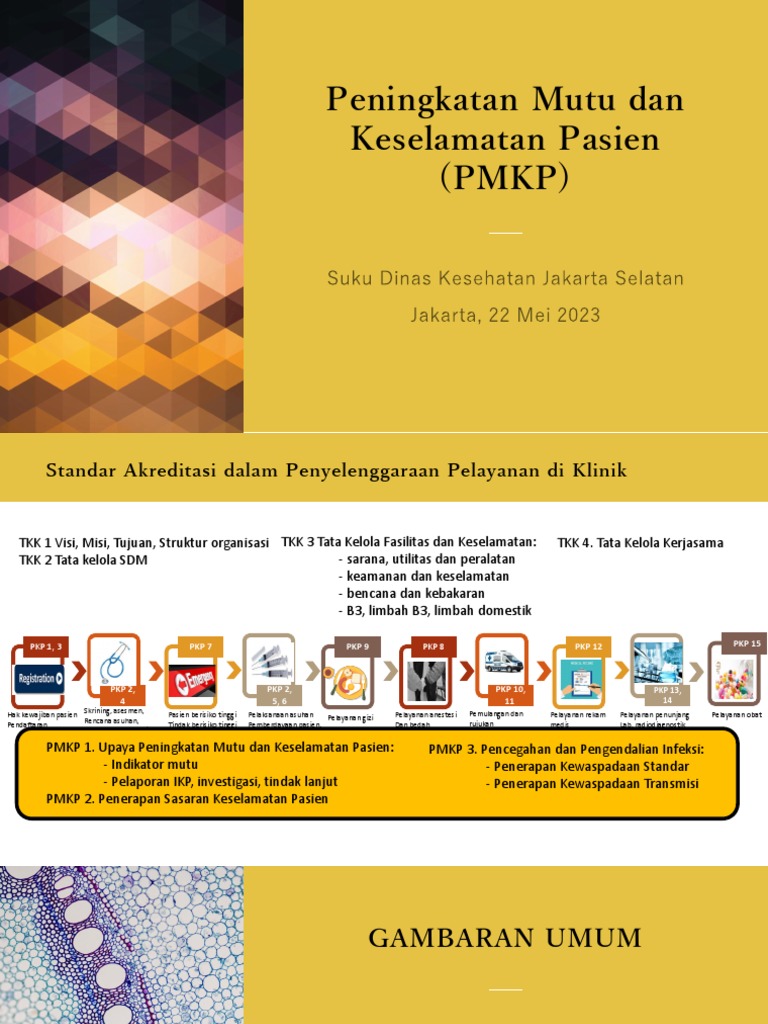 BAB II Peningkatan Mutu Dan Keselamatan Pasien (PMKP) Klinik | PDF