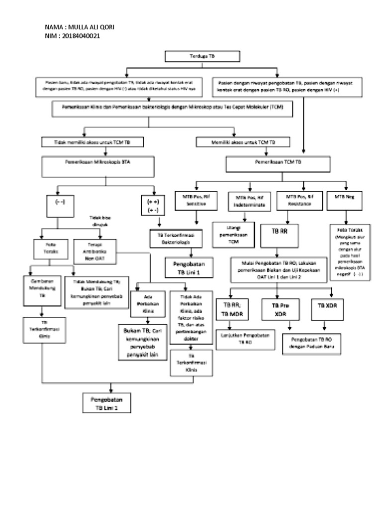 Algoritma TB | PDF | Kesehatan Holistik