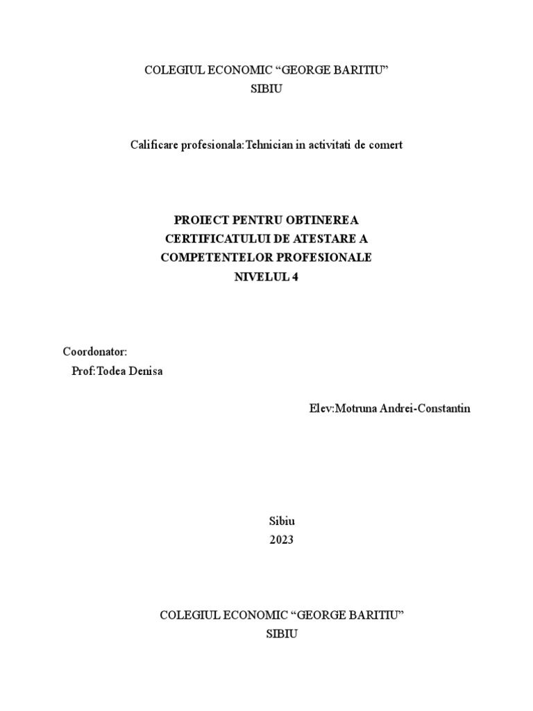 Atestat Management | PDF