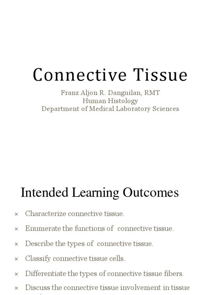 Histology-1.2-Connective-Tissue | PDF