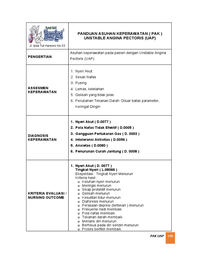 Panduan Asuhan Keperawatan UAP | PDF