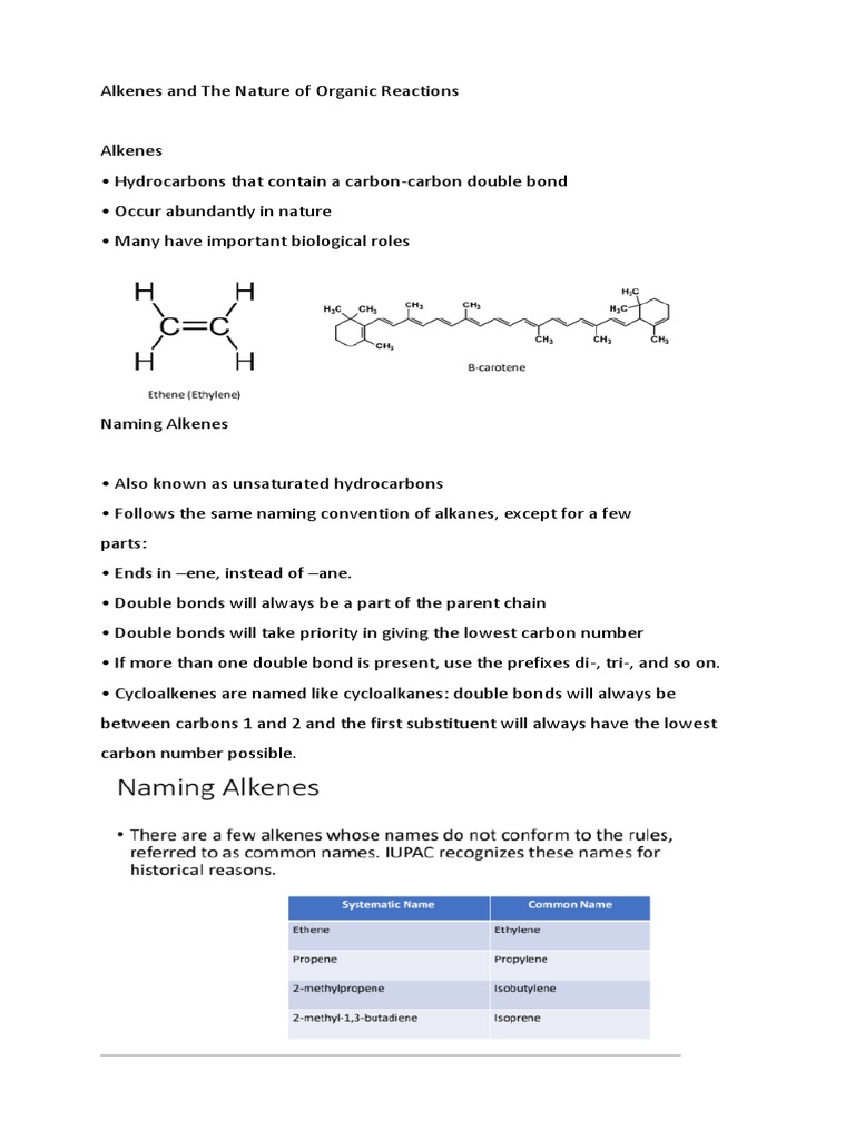 Org Chem Quiz | PDF