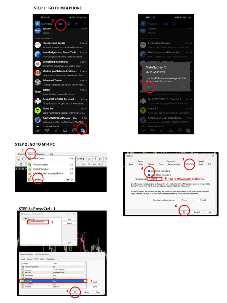 Bystra Phone Alert | PDF
