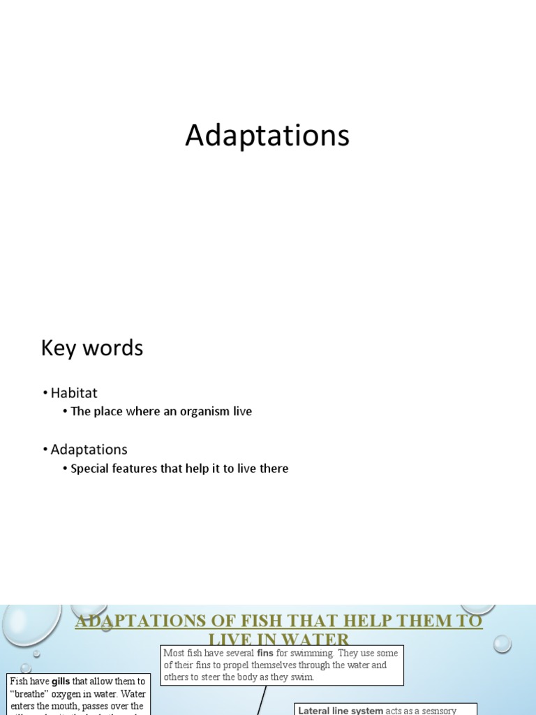 Key Adaptations of Fish for Aquatic Life | PDF | Social Science