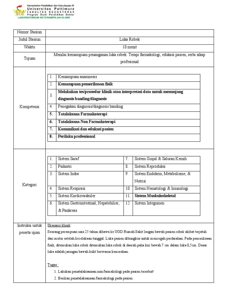 VULNUS LACERATUM (Suda Review) | PDF