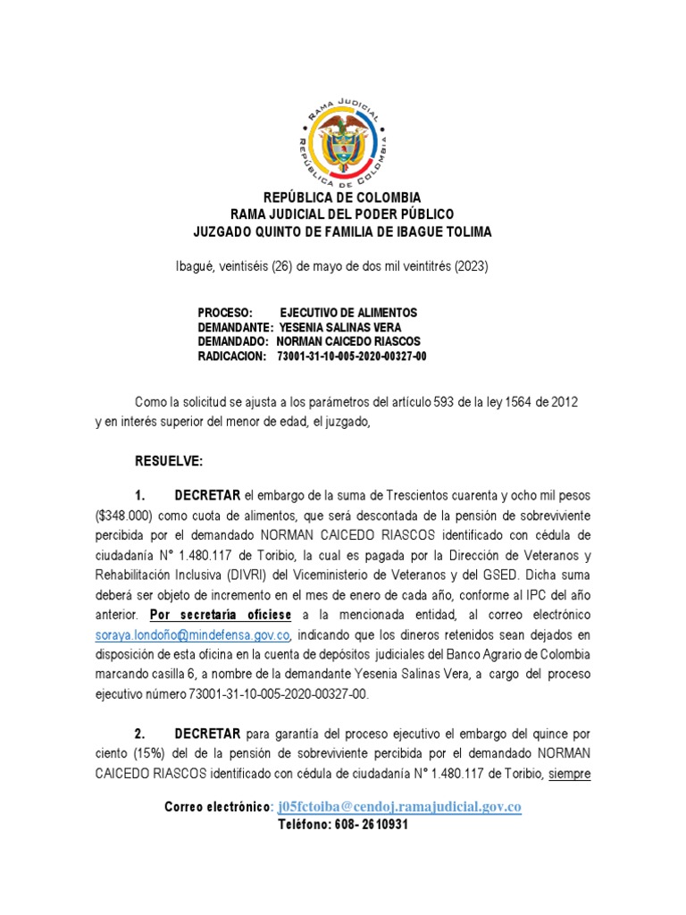 Auto Decreta Medidas | PDF