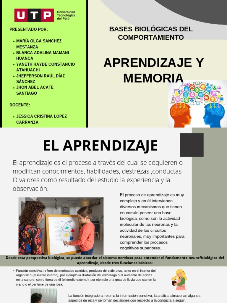 Memoria y Aprendizaje - Grupo 6 | PDF | Memoria | Aprendizaje