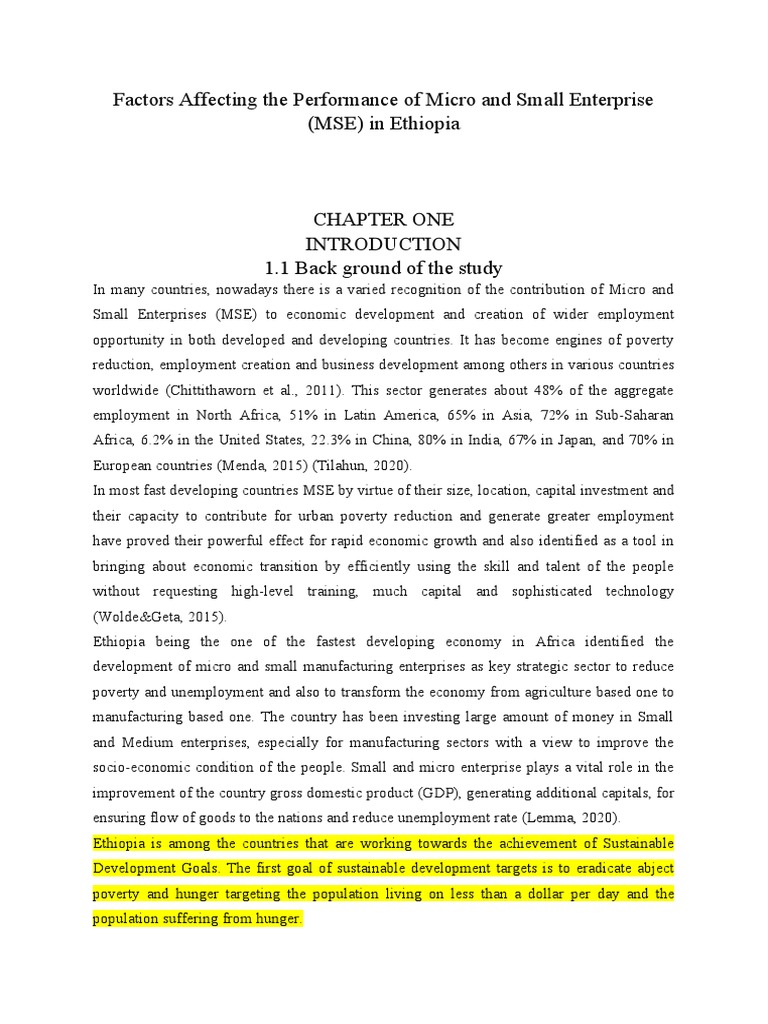 Factors Affecting The Performance of Micro and Small Enterprise | PDF