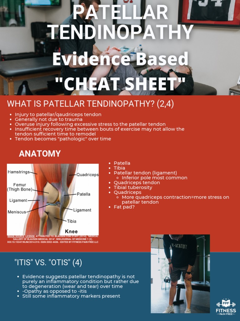 Patellar Tendinopathy Overview and Treatment | PDF | Knee | Physical ...