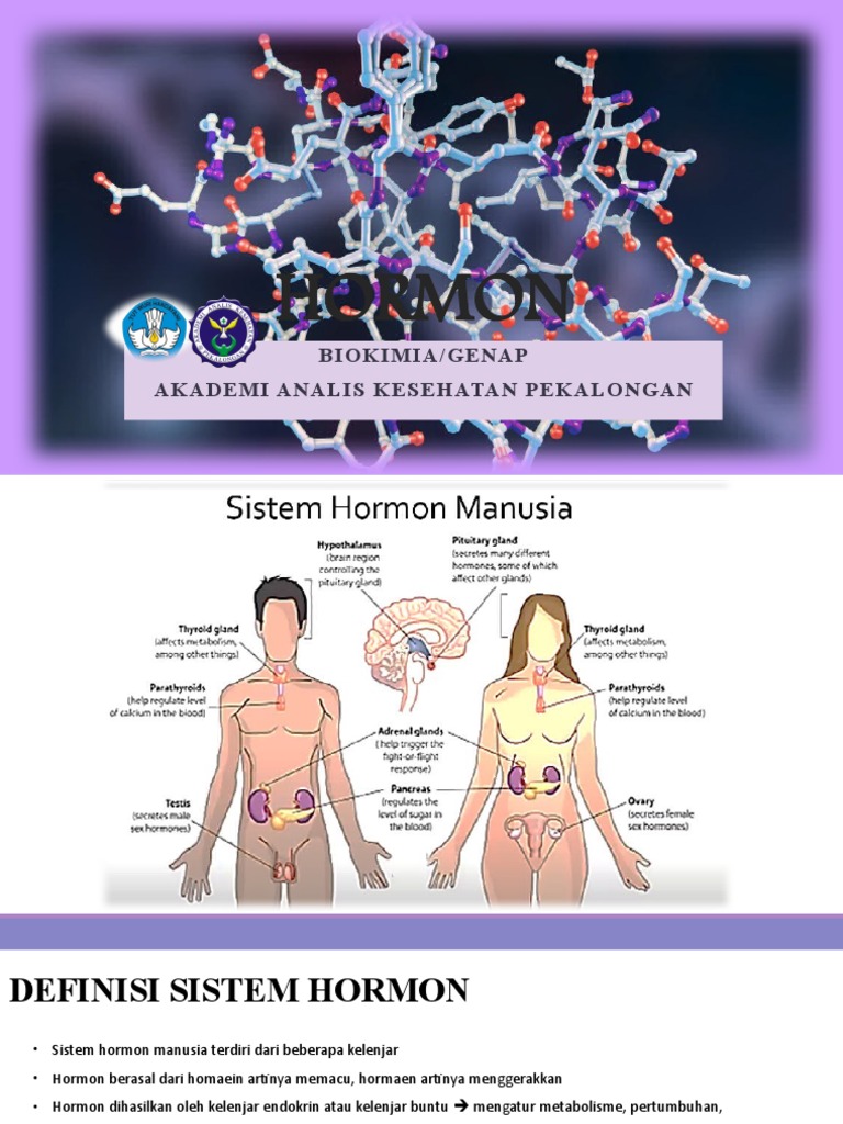 Hormon | PDF
