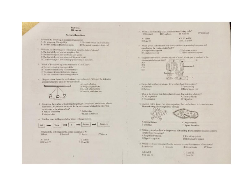 Science Form 1 | PDF
