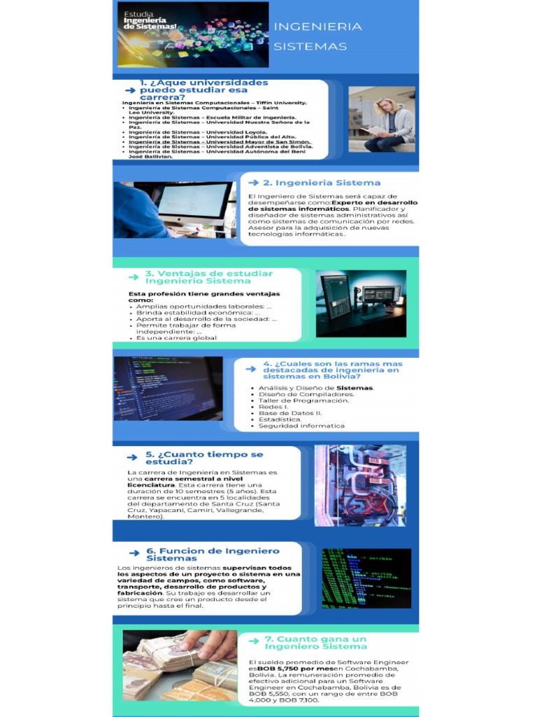 Ingenieria en Sistema en Bolivia | PDF