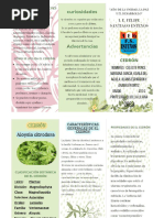 Ficha de Herbario | PDF | Botánica | Horticultura y jardinería