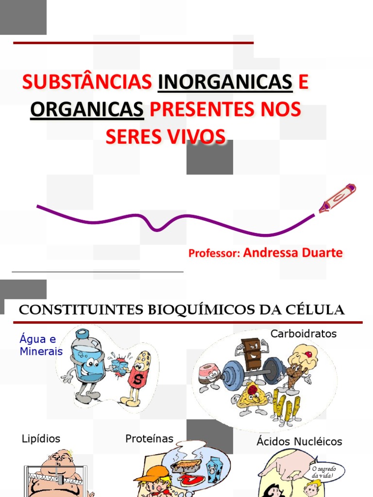 Substâncias Inorganicas e Organicas | PDF | Proteínas | Enzima