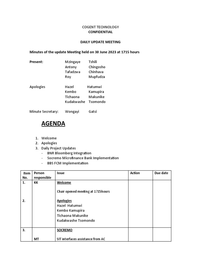 Project Update Meeting Minutes | PDF