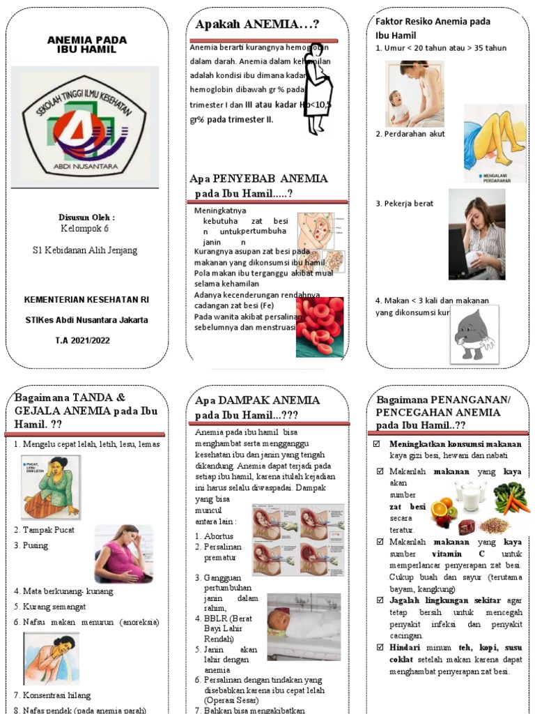 Leaflet Anemia-Pada-Ibu-Hamil | PDF