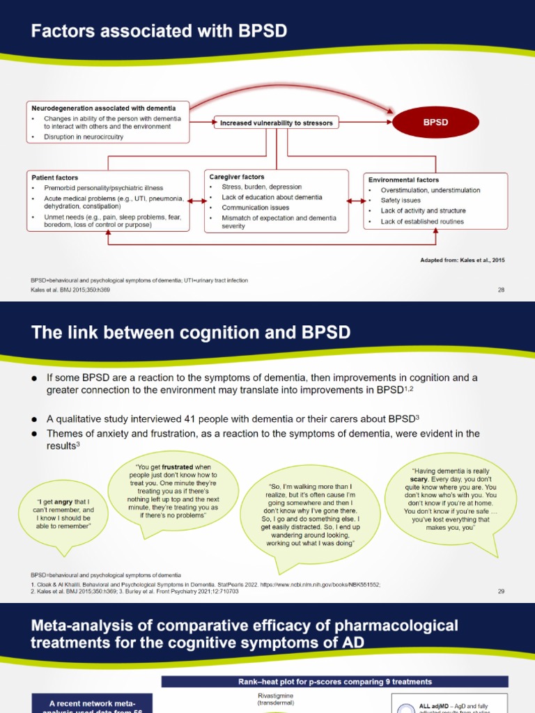 Treatment Approach BPSD | PDF