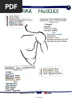 The Radiology Assistant - Lung Segments and Bronchi | PDF | Lung ...