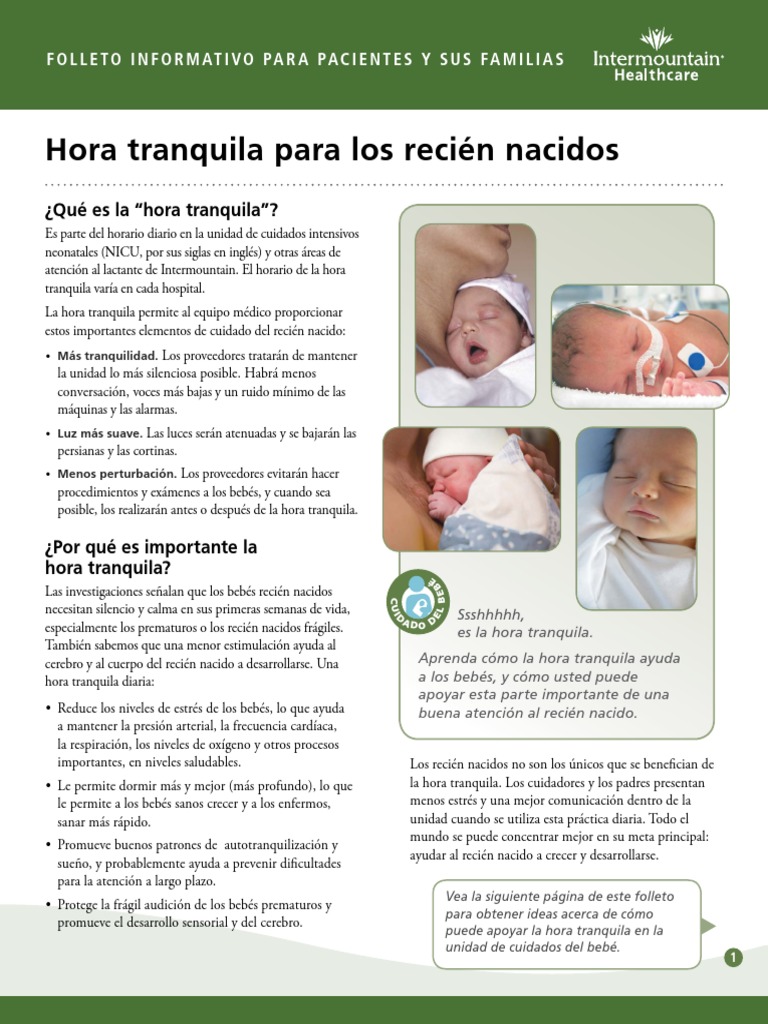 Quiet Hour For Newborns Fact Sheet Spanish | PDF | Infantes | Medicina