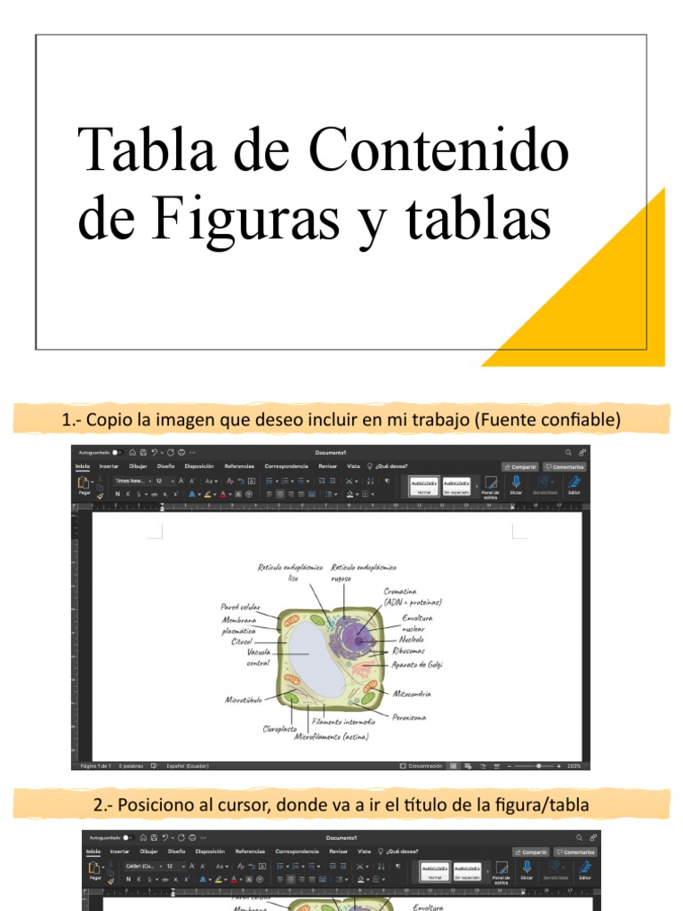 Citar Una Imagen | PDF | Computadoras