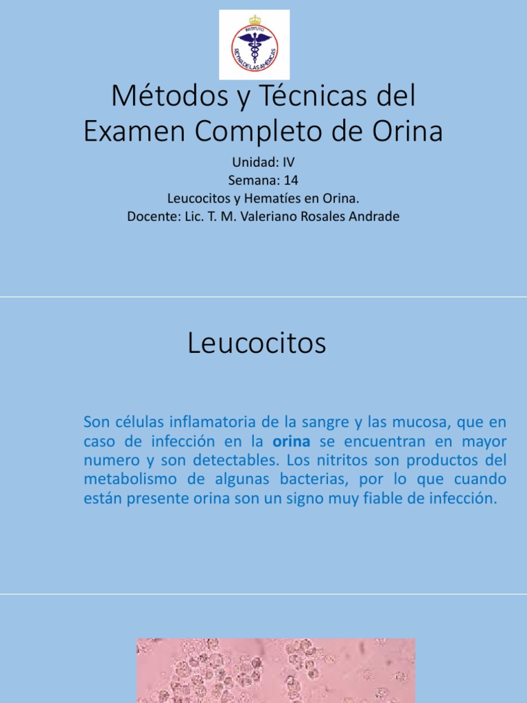 Hemograma 1pdf Leucocito Sistema Inmune