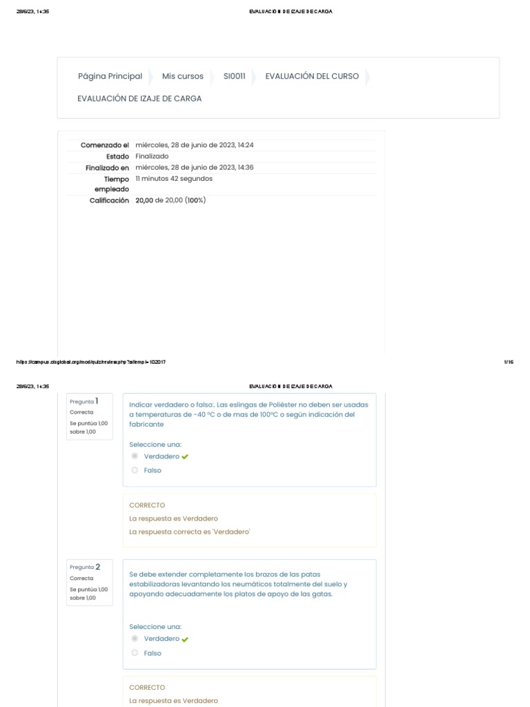 Evaluación de Izaje de Carga - Amayo | PDF