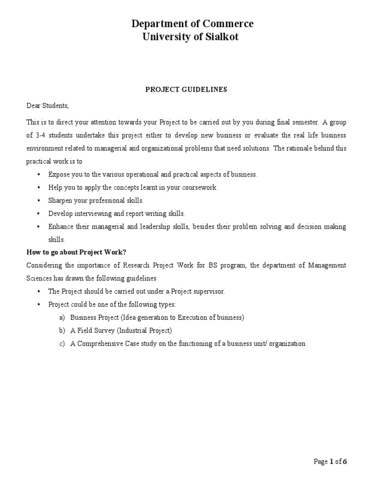 Project Guidelines BS 7th | PDF