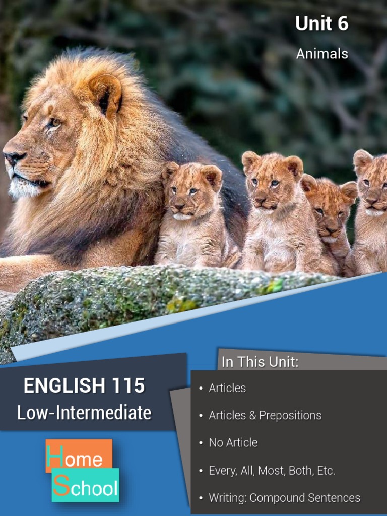 English Grammar A2-6 | PDF | Noun | Grammatical Number