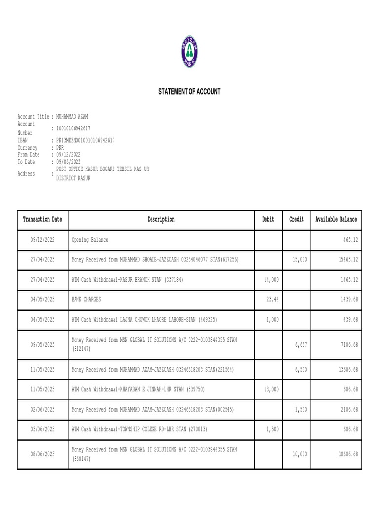 Meezan Bank Account Statement Summary | PDF