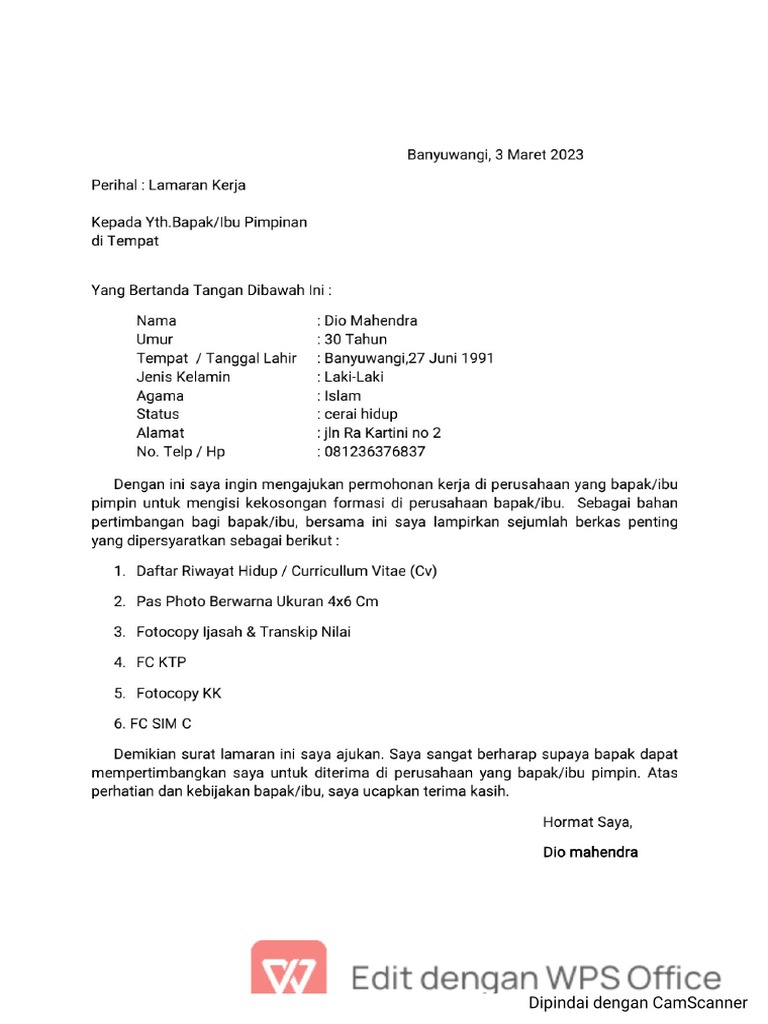 CV Dio Mahendra | PDF