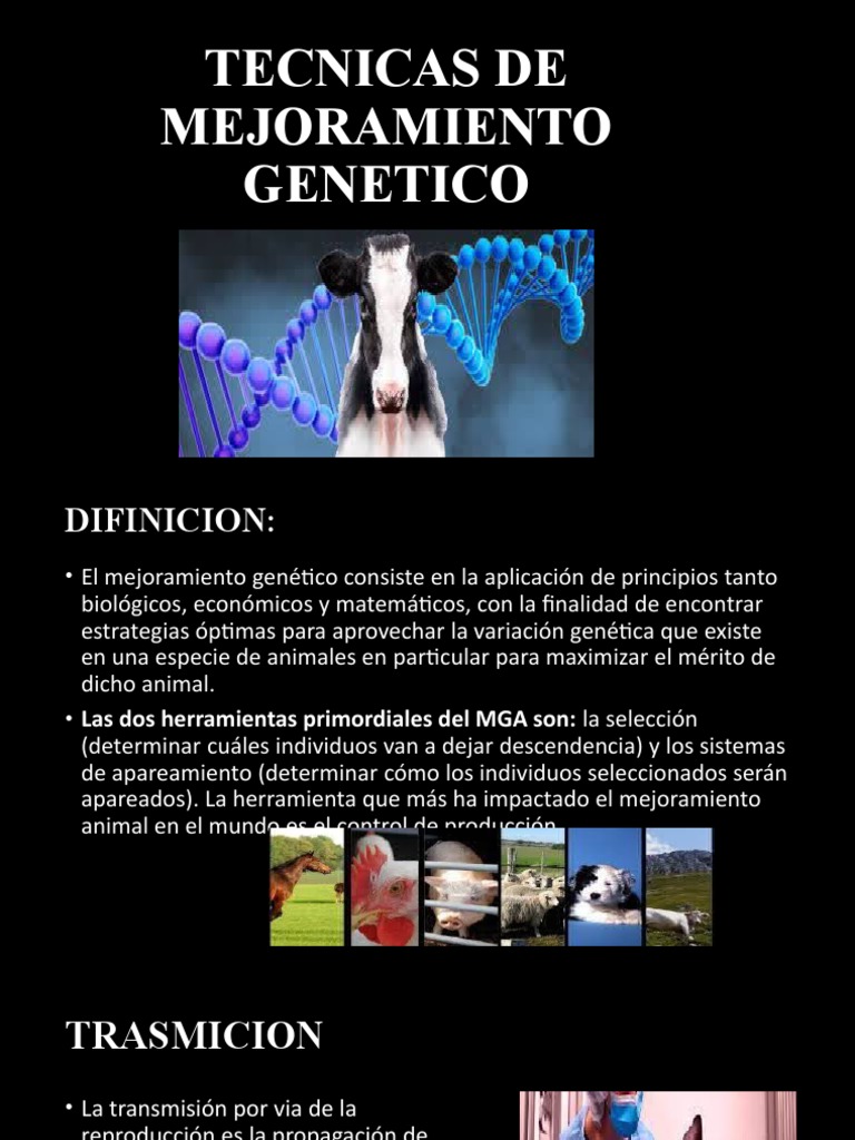 Tecnicas de Mejoramiento Genetico | Descargar gratis PDF | Clonación ... Tecnicas de Mejoramiento Genetico | Descargar gratis PDF | Clonación ...