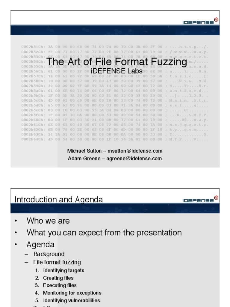 The Art of File Format Fuzzing | PDF